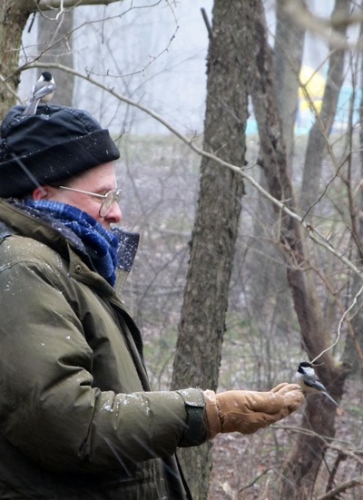 Blue Spruce Park Chickadees: Dr. Ray L. Winstead Feeding Chickadees By ...
